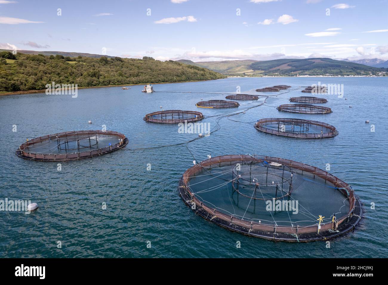 Aquaculture Sea Farm Used For Intensive Fish Farming Stock Photo - Alamy