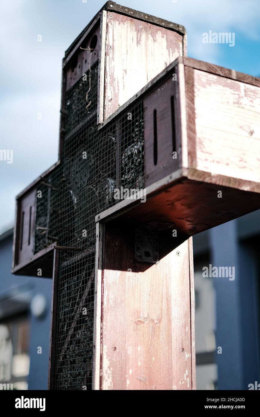 Bug hotel cross hi-res stock photography and images - Alamy