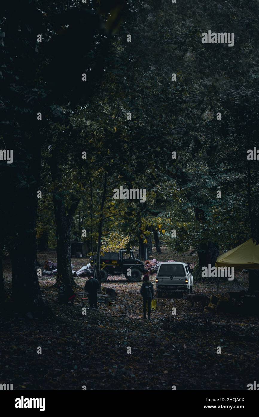 Off-road black car driving in the dark forest Stock Photo - Alamy