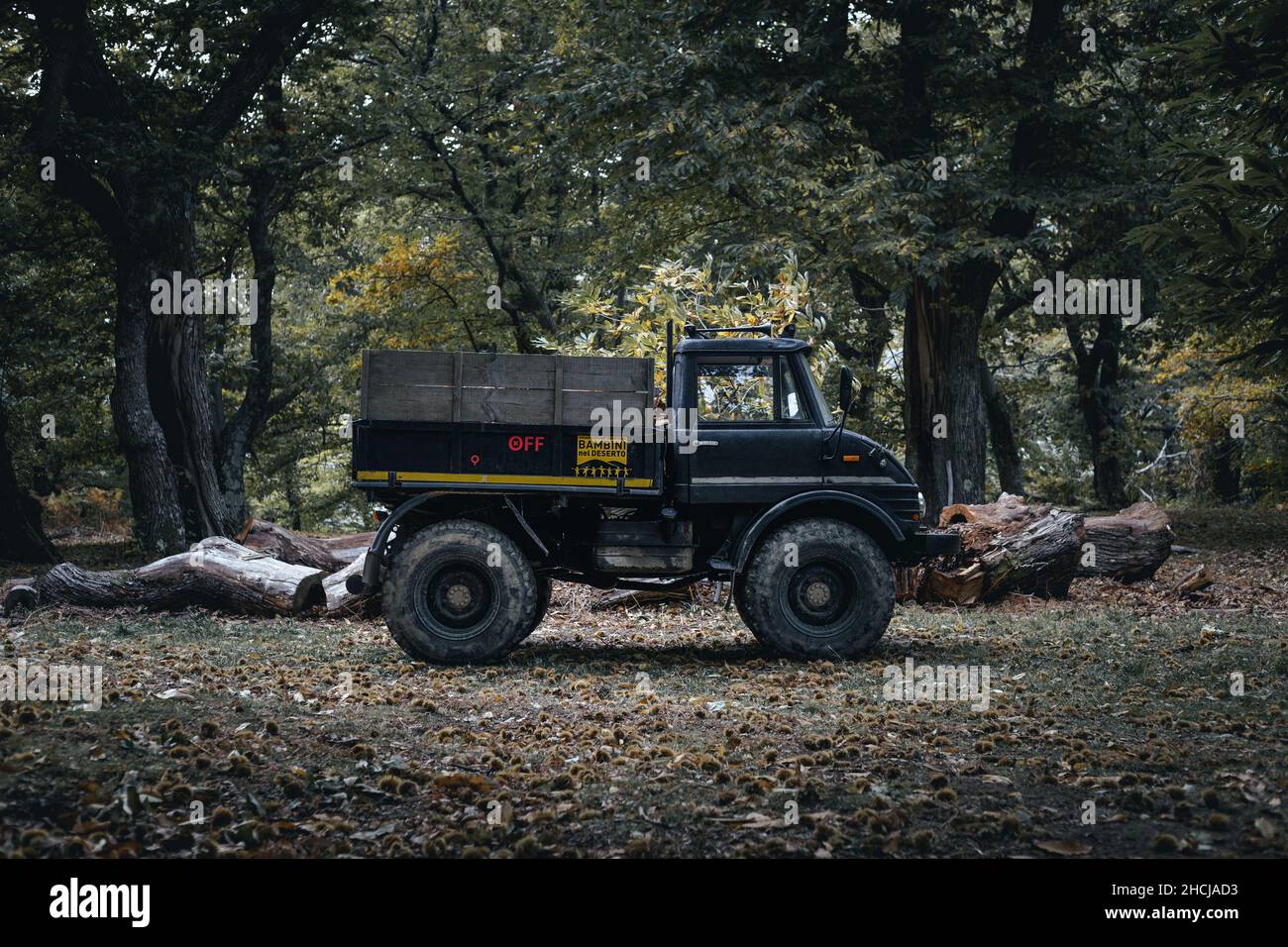 Off-road black car driving in the dark forest Stock Photo - Alamy