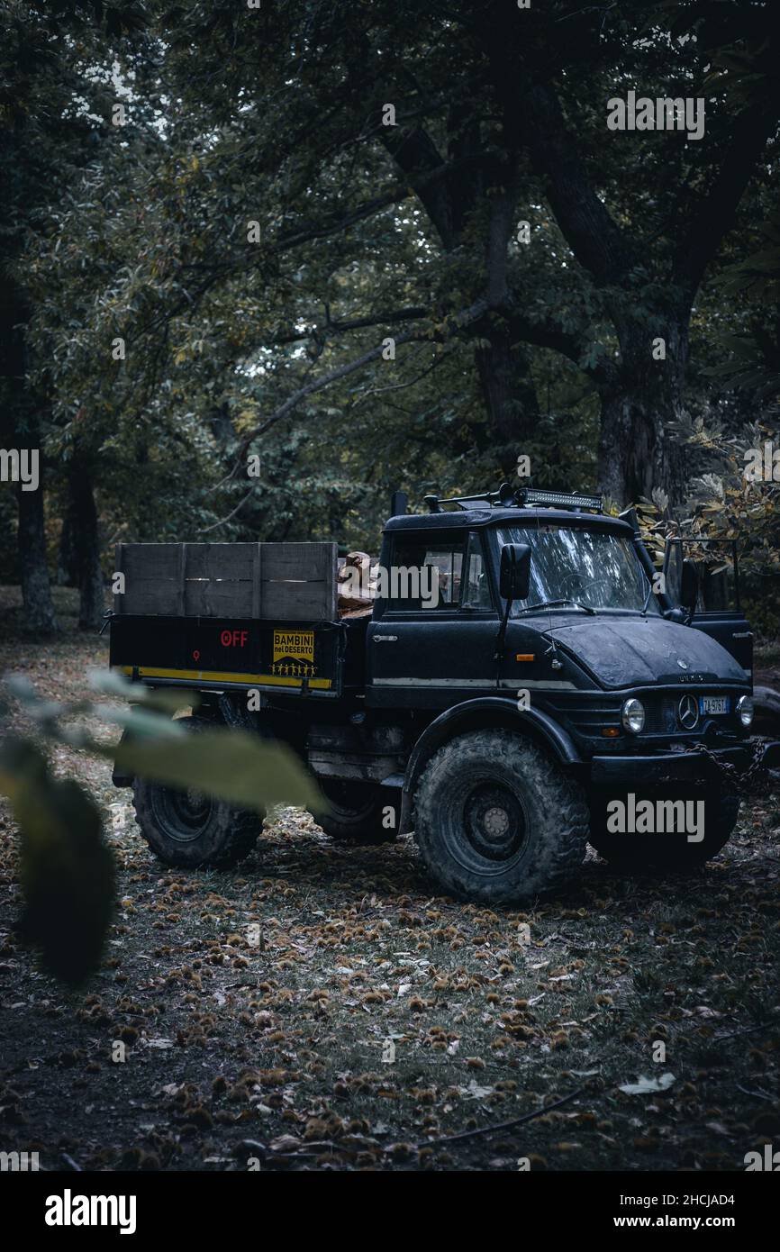 Off-road black car driving in the dark forest Stock Photo - Alamy