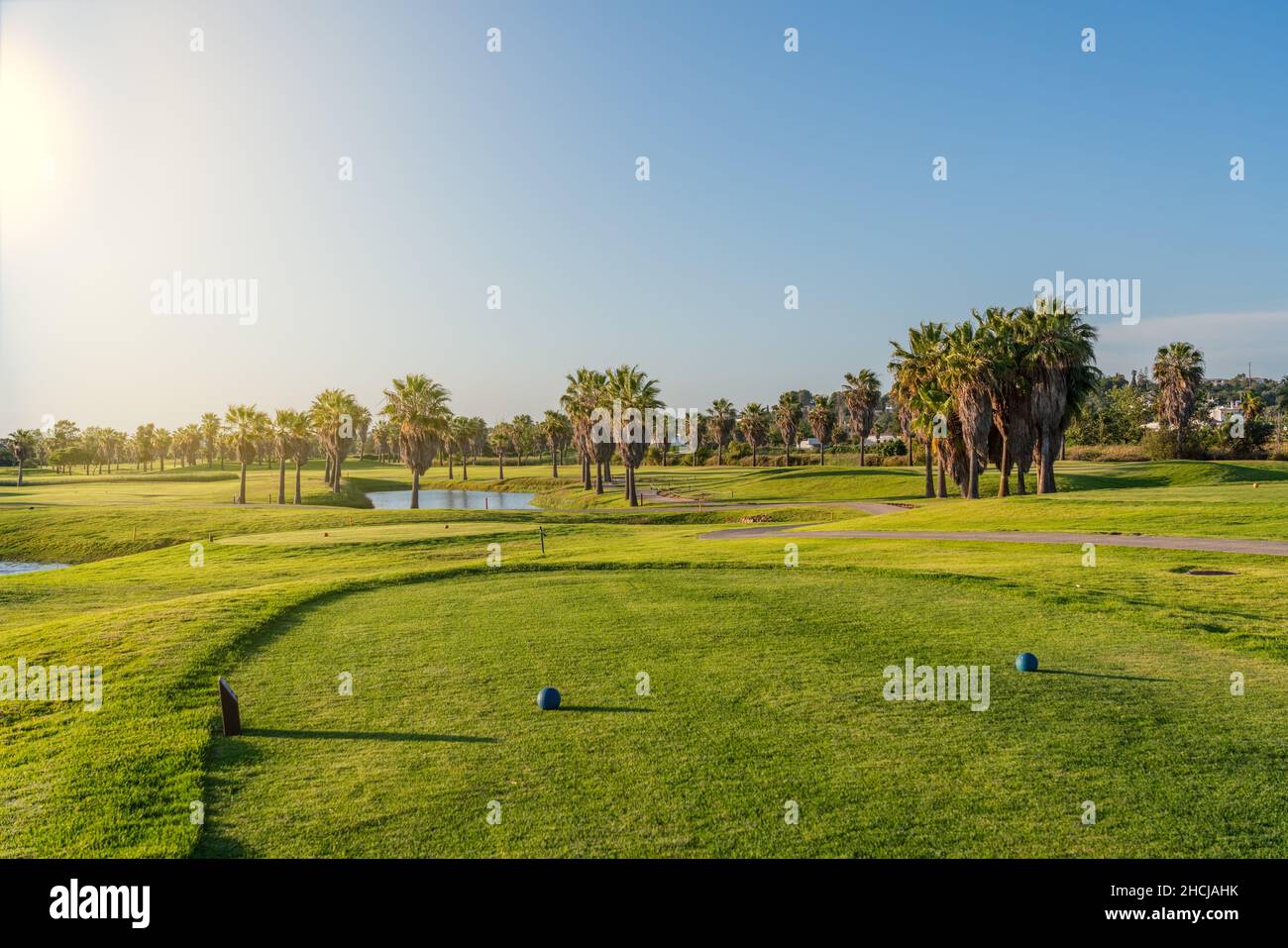 Modern golf courses for tourists with clear ponds and palm trees for ...