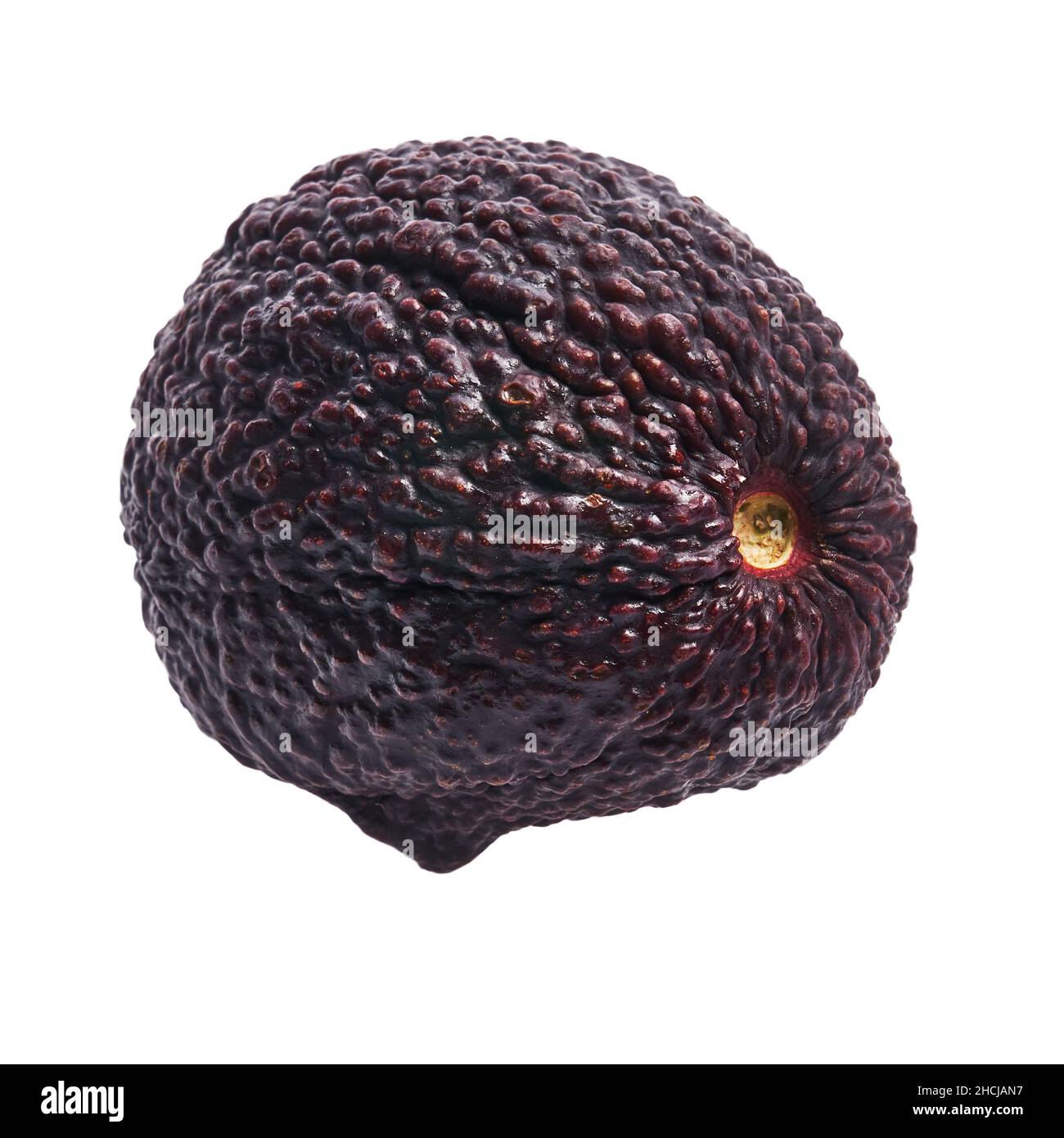 SIngle avocado fruit isolated over white background Stock Photo - Alamy