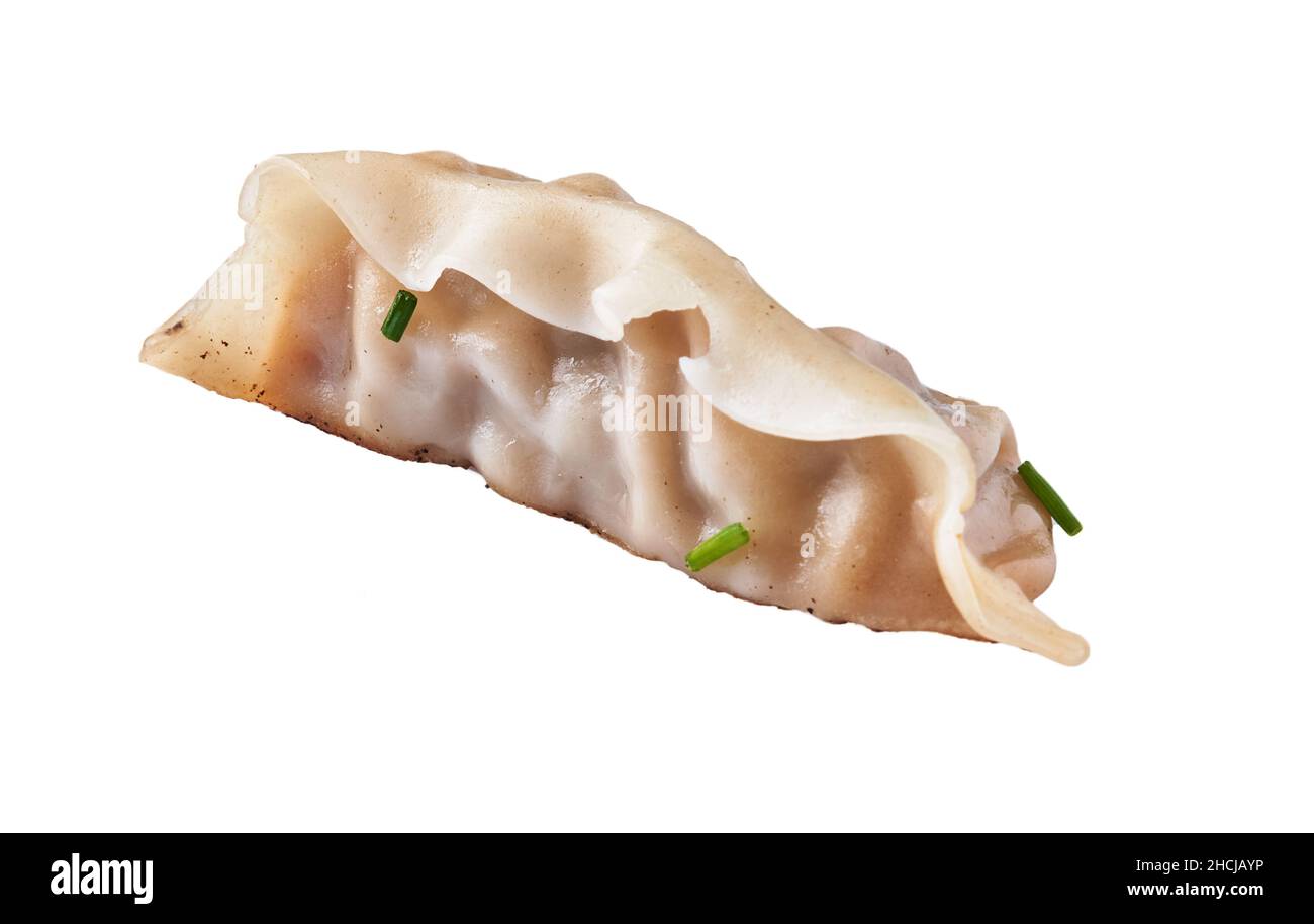 Single delicious chinese gyoza isolated on a white background Stock ...