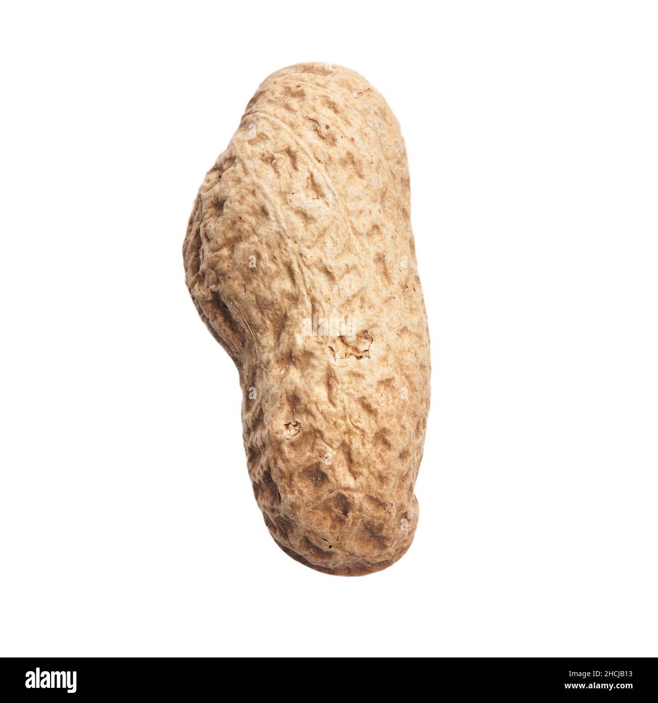 Single peanut with shell isolated on a white background Stock Photo - Alamy