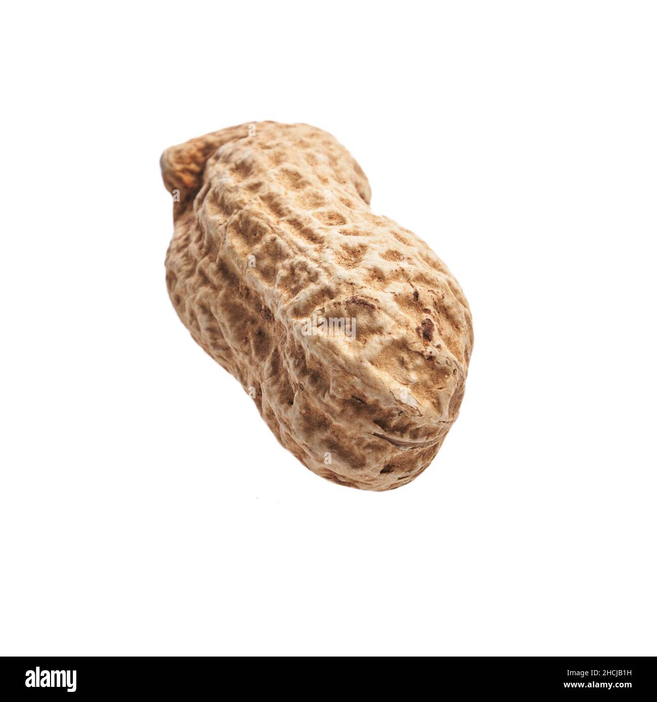 Single peanut with shell isolated on a white background Stock Photo - Alamy