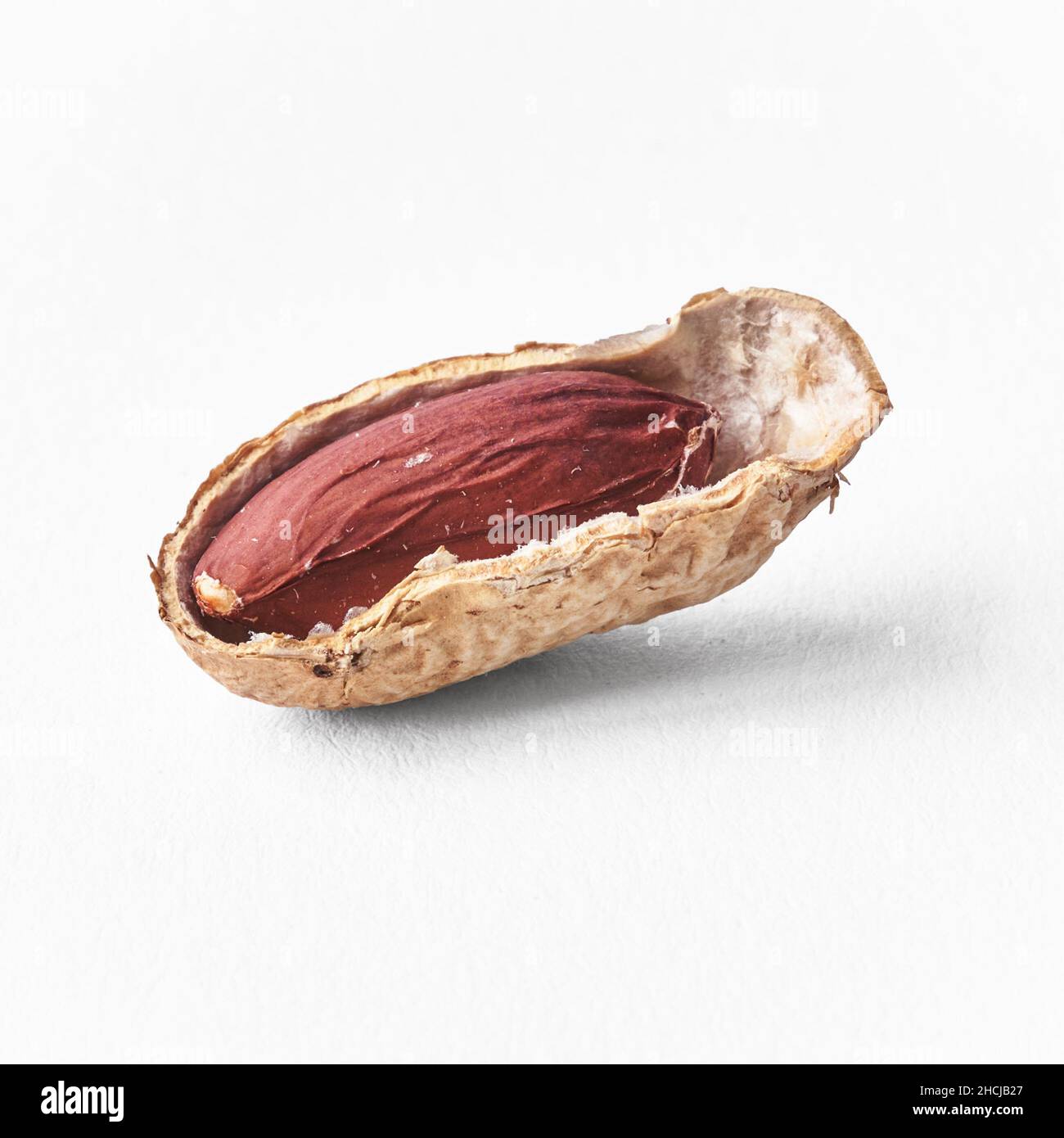 Middle shell with peanut isolated on a white background Stock Photo - Alamy