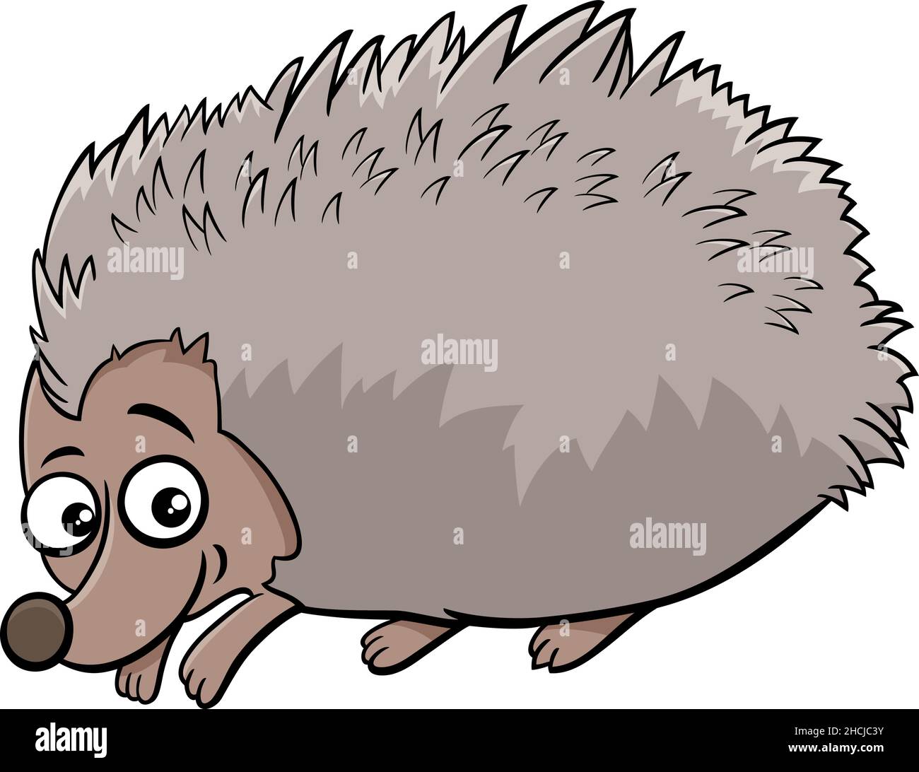 Cartoon illustration of hedgehog wild animal character Stock Vector ...