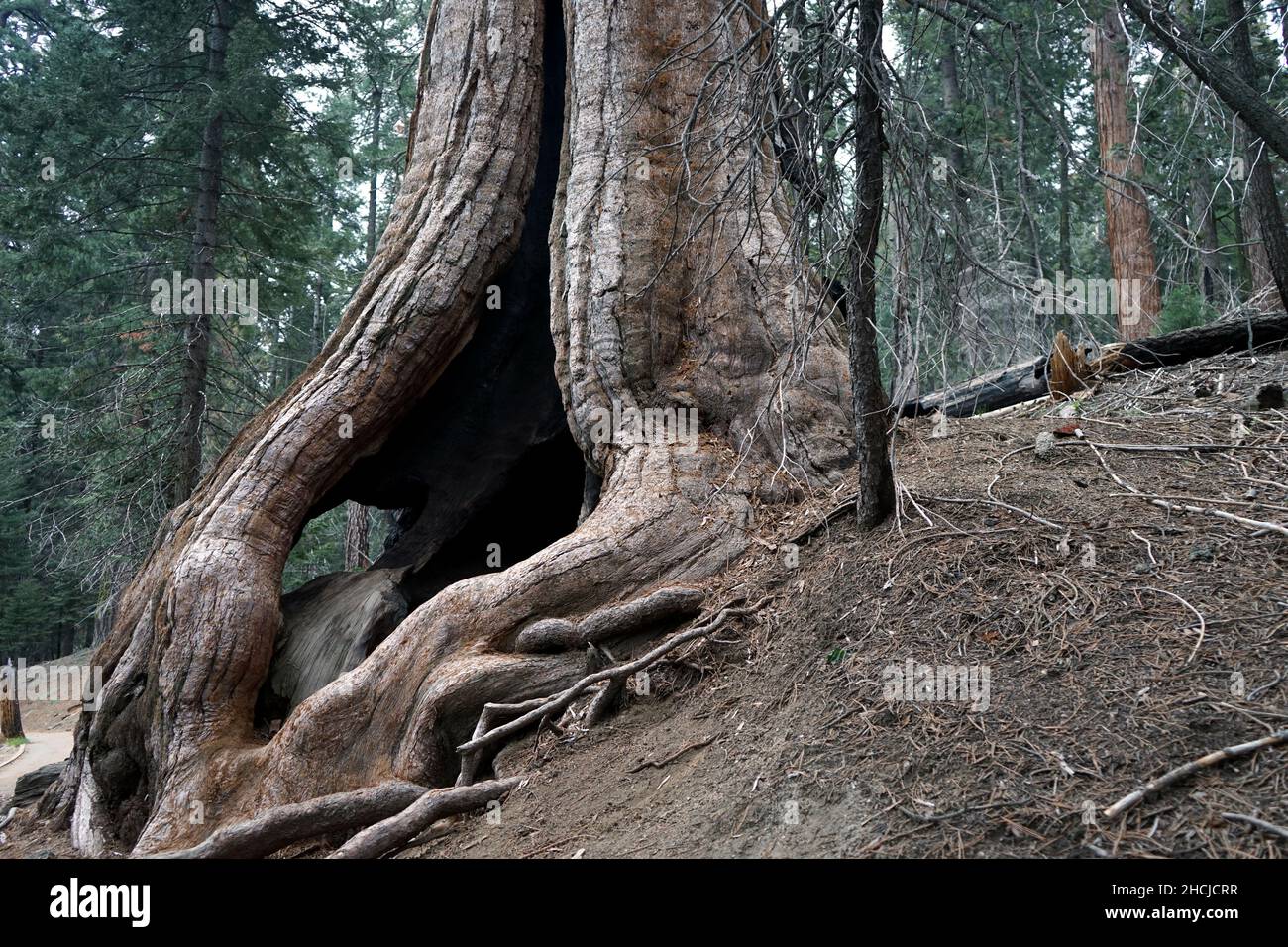 Fall into the void hi-res stock photography and images - Alamy