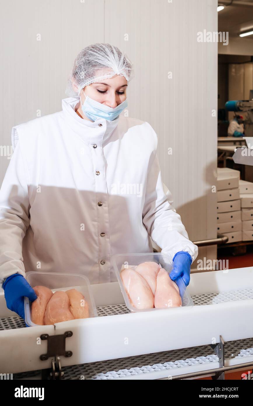 Meat processing plant.Industrial equipment at a meat factory.Modern ...