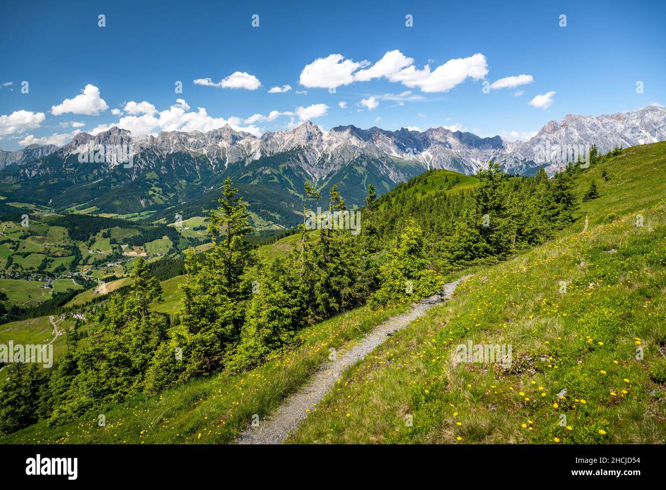 Idyllic hiking trail in the alps, Salzburg, Austria Stock Photo - Alamy