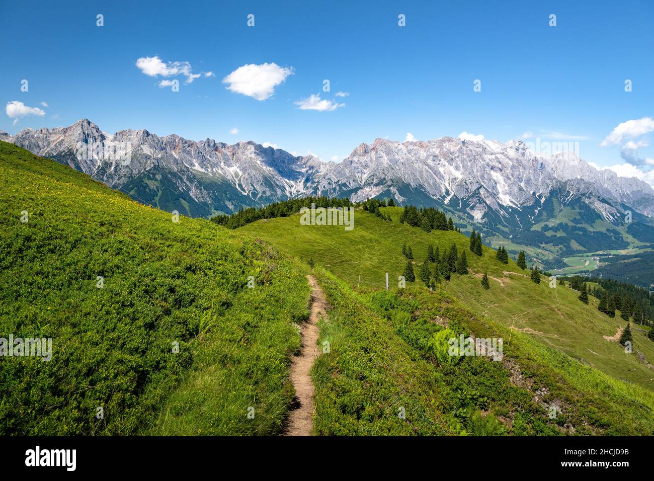 Hiking trail in an idyllic summer landscape in the Alps, Salzburg ...