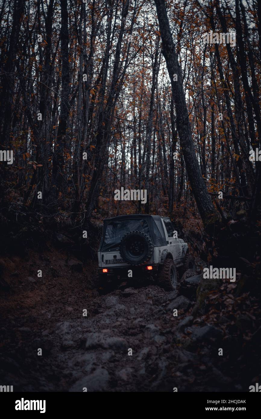 Off-road black car driving in the dark forest Stock Photo - Alamy