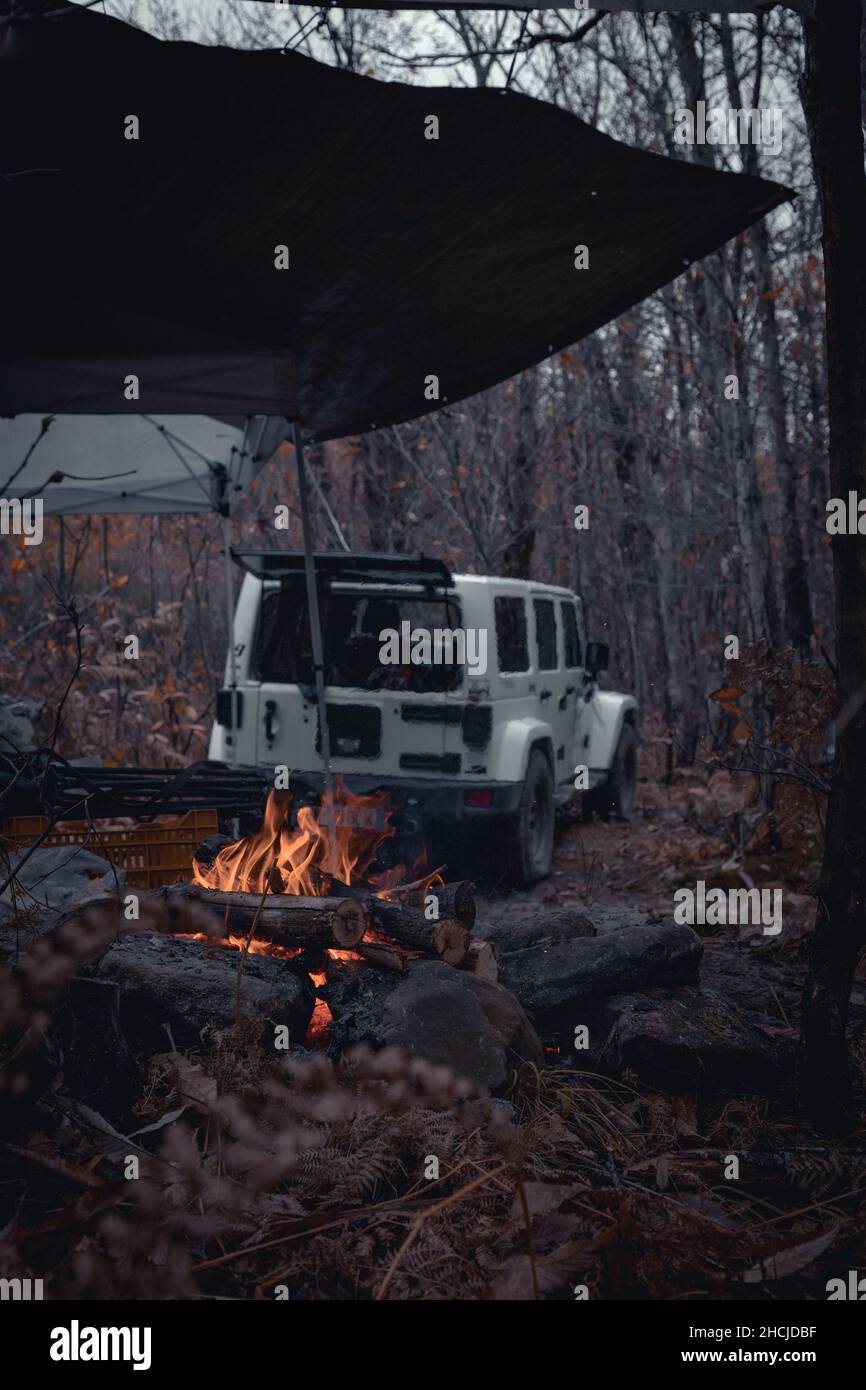 Off-road black car driving in the dark forest Stock Photo - Alamy