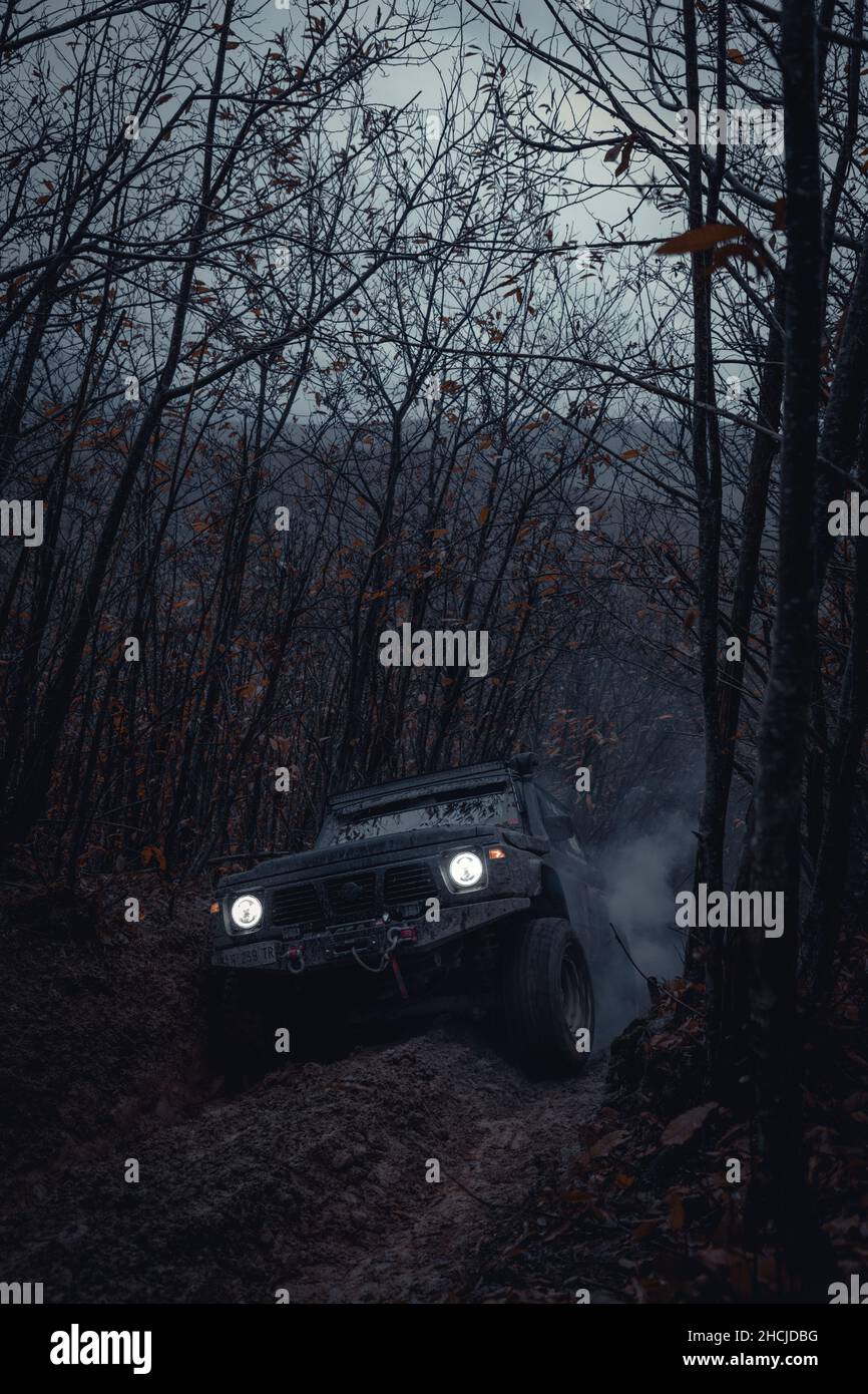Off-road black car driving in the dark forest Stock Photo - Alamy