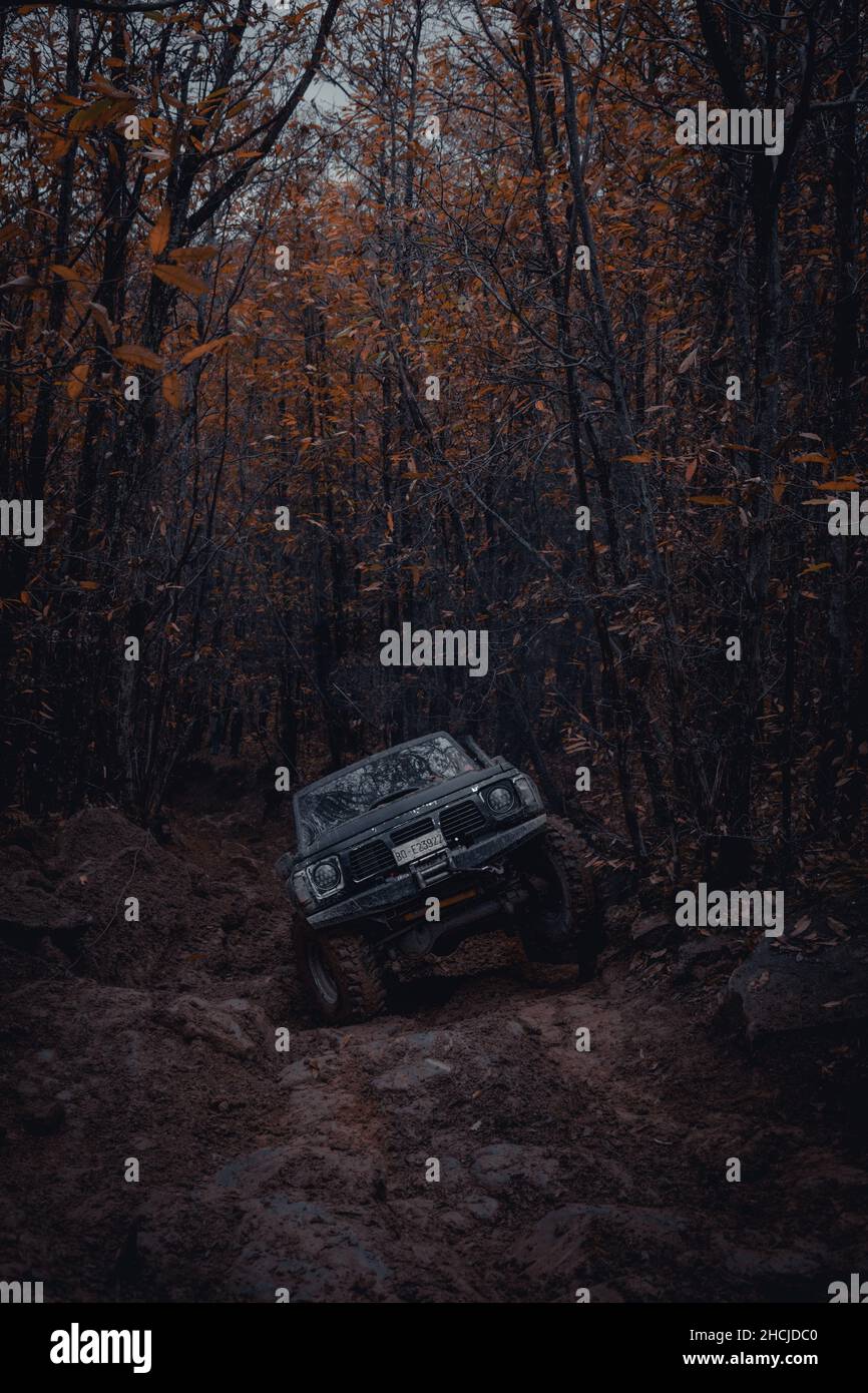 Off-road black car driving in the dark forest Stock Photo - Alamy