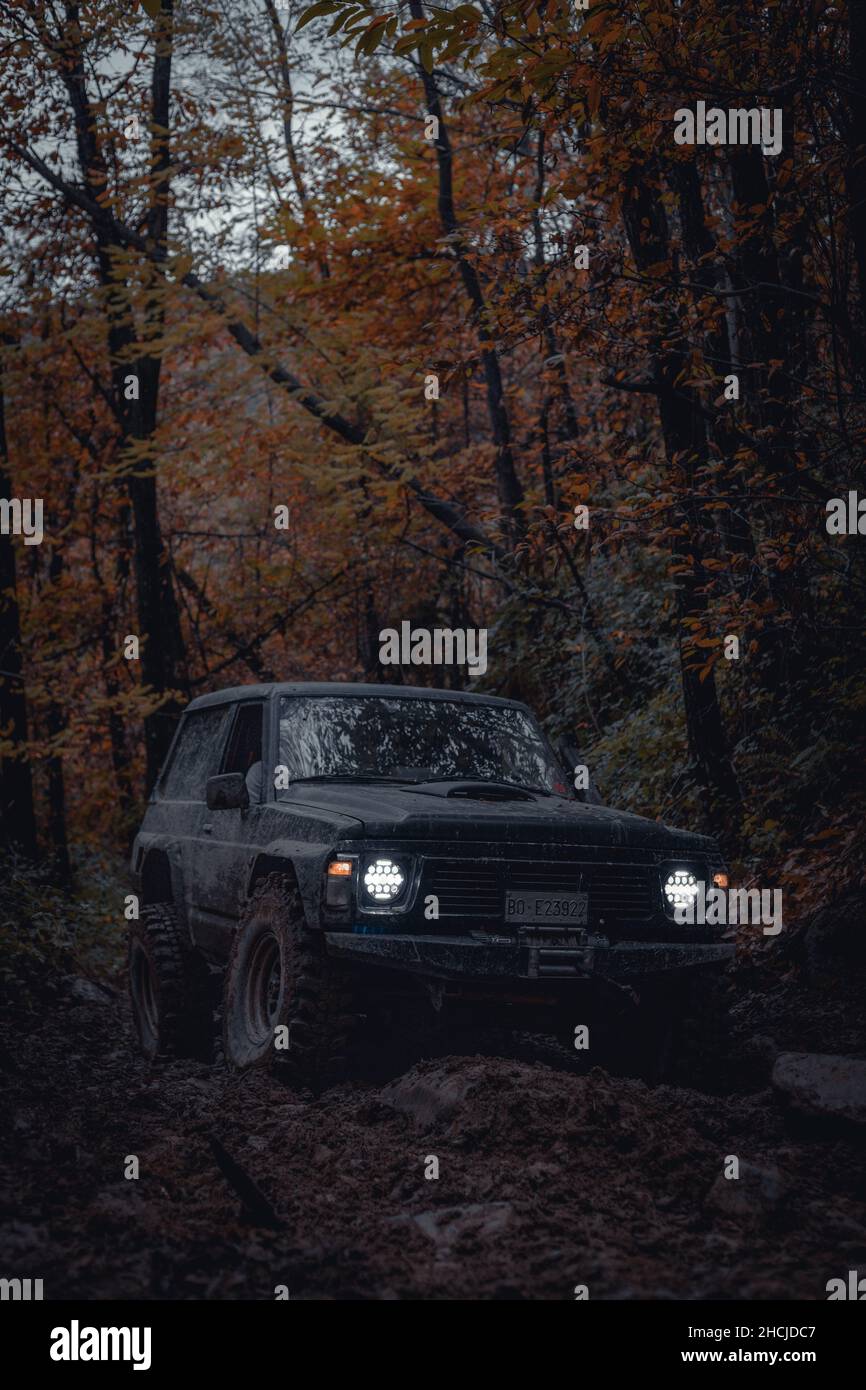 Off-road black car driving in the dark forest Stock Photo - Alamy