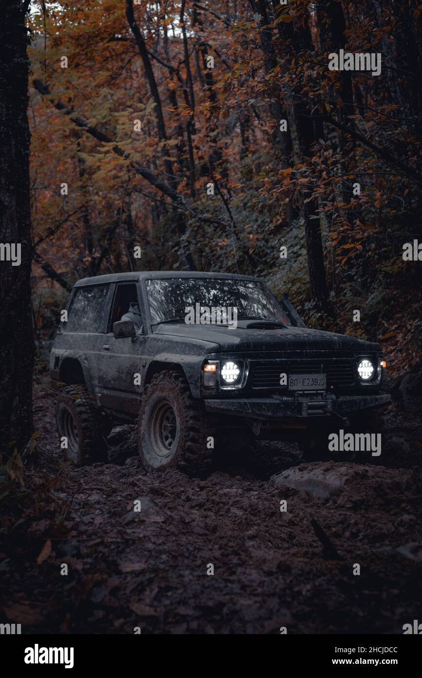 Off-road black car driving in the dark forest Stock Photo - Alamy