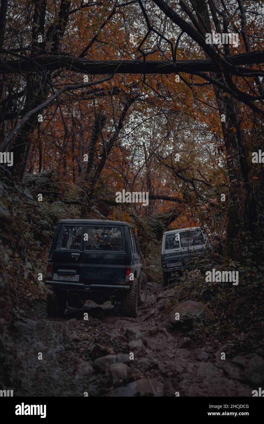 Off-road black car driving in the dark forest Stock Photo - Alamy