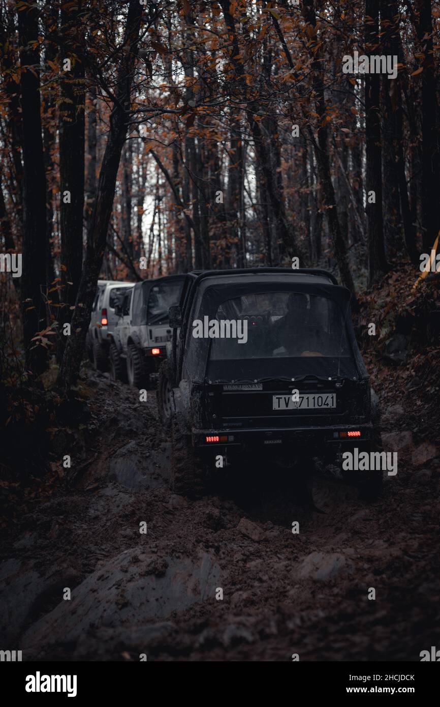 Off-road black car driving in the dark forest Stock Photo - Alamy