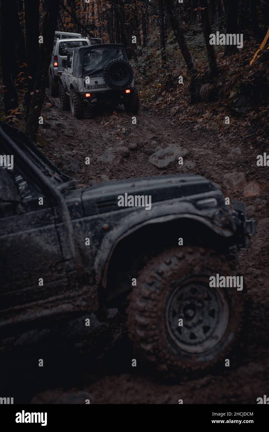 Off-road black car driving in the dark forest Stock Photo - Alamy