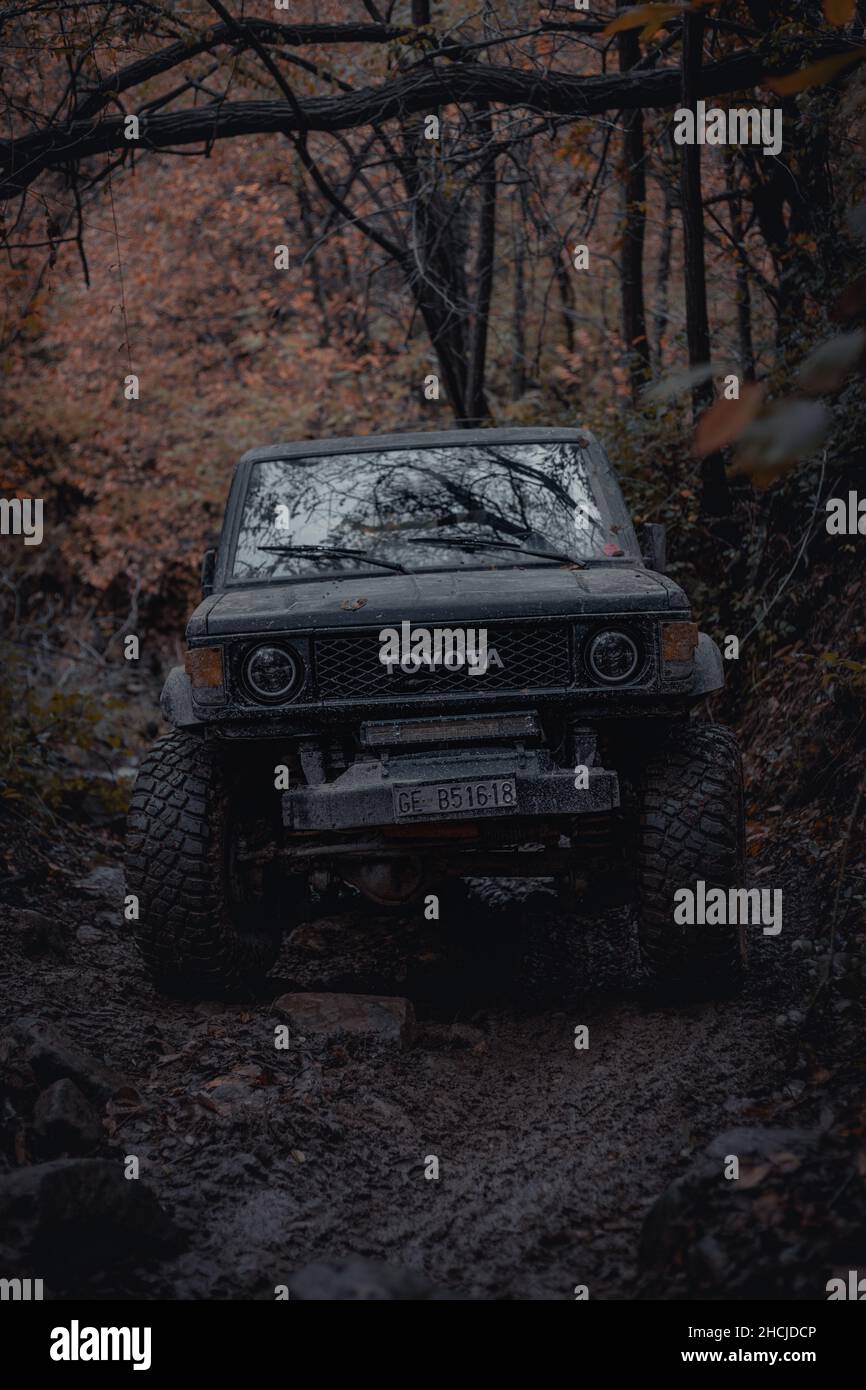 Off-road black car driving in the dark forest Stock Photo - Alamy
