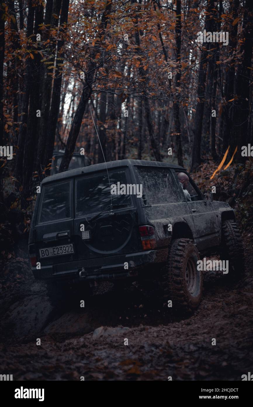 Off-road black car driving in the dark forest Stock Photo - Alamy