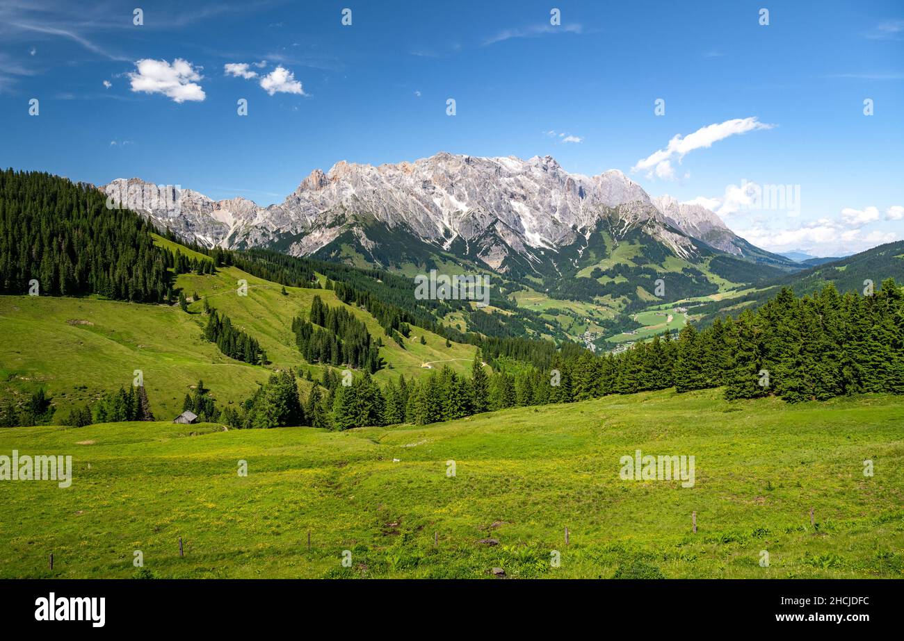 Summer alpine meadow in the alps, Hochkoenig massif, Maria Alm, Dienten ...
