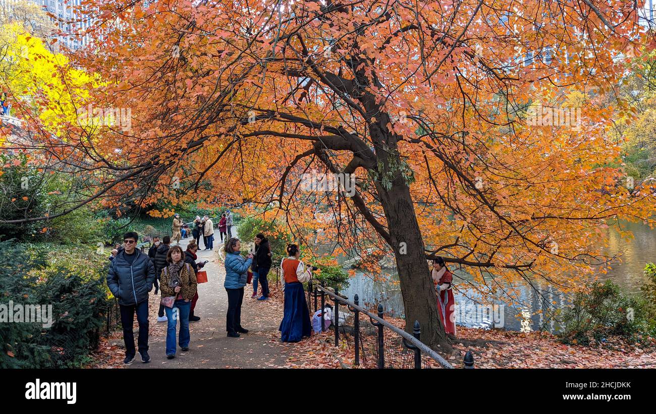 Beautiful view of colorful autumn leaves during fall foliage at Central ...