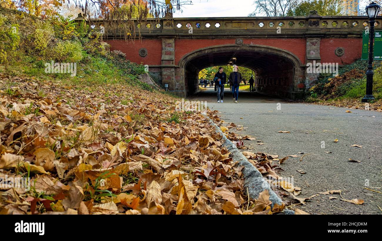 Beautiful view of colorful autumn leaves during fall foliage at Central ...
