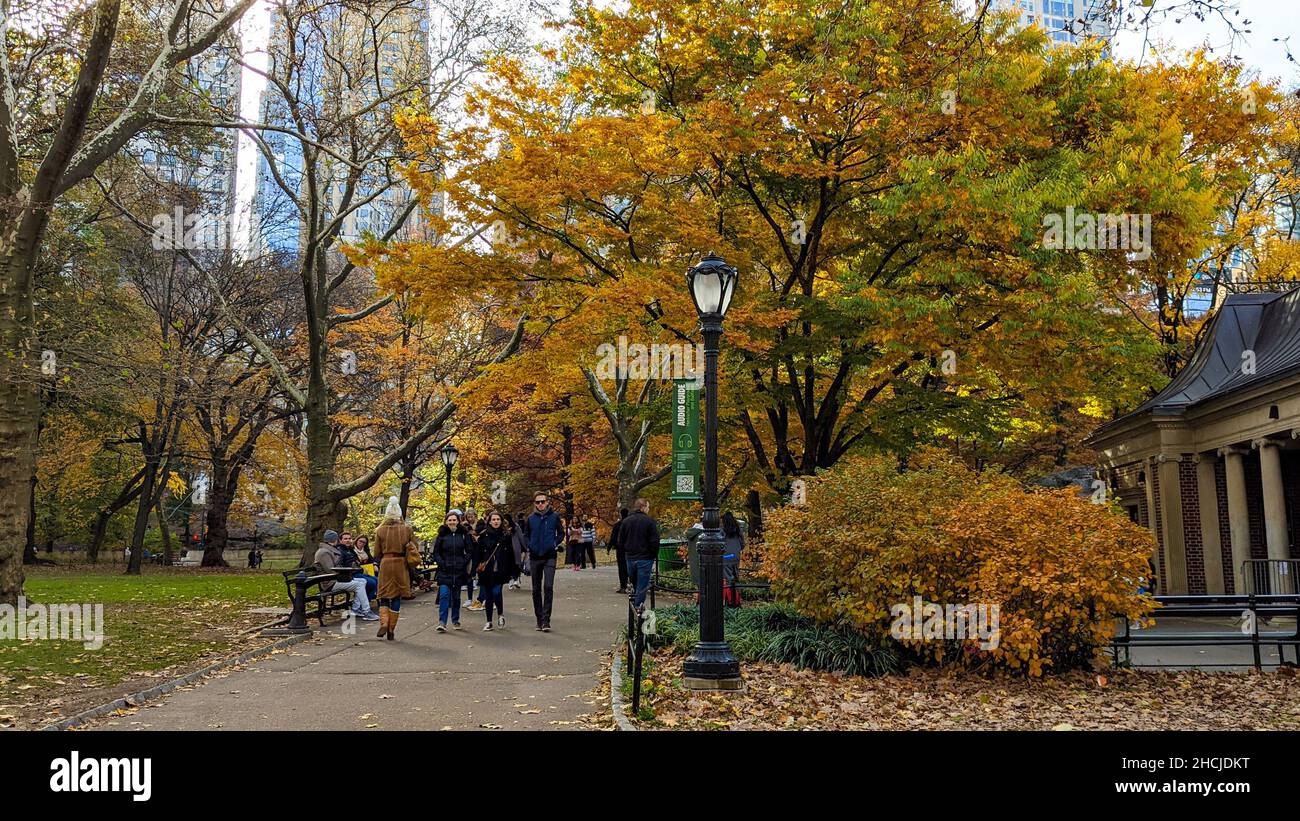 Beautiful view of colorful autumn leaves during fall foliage at Central ...