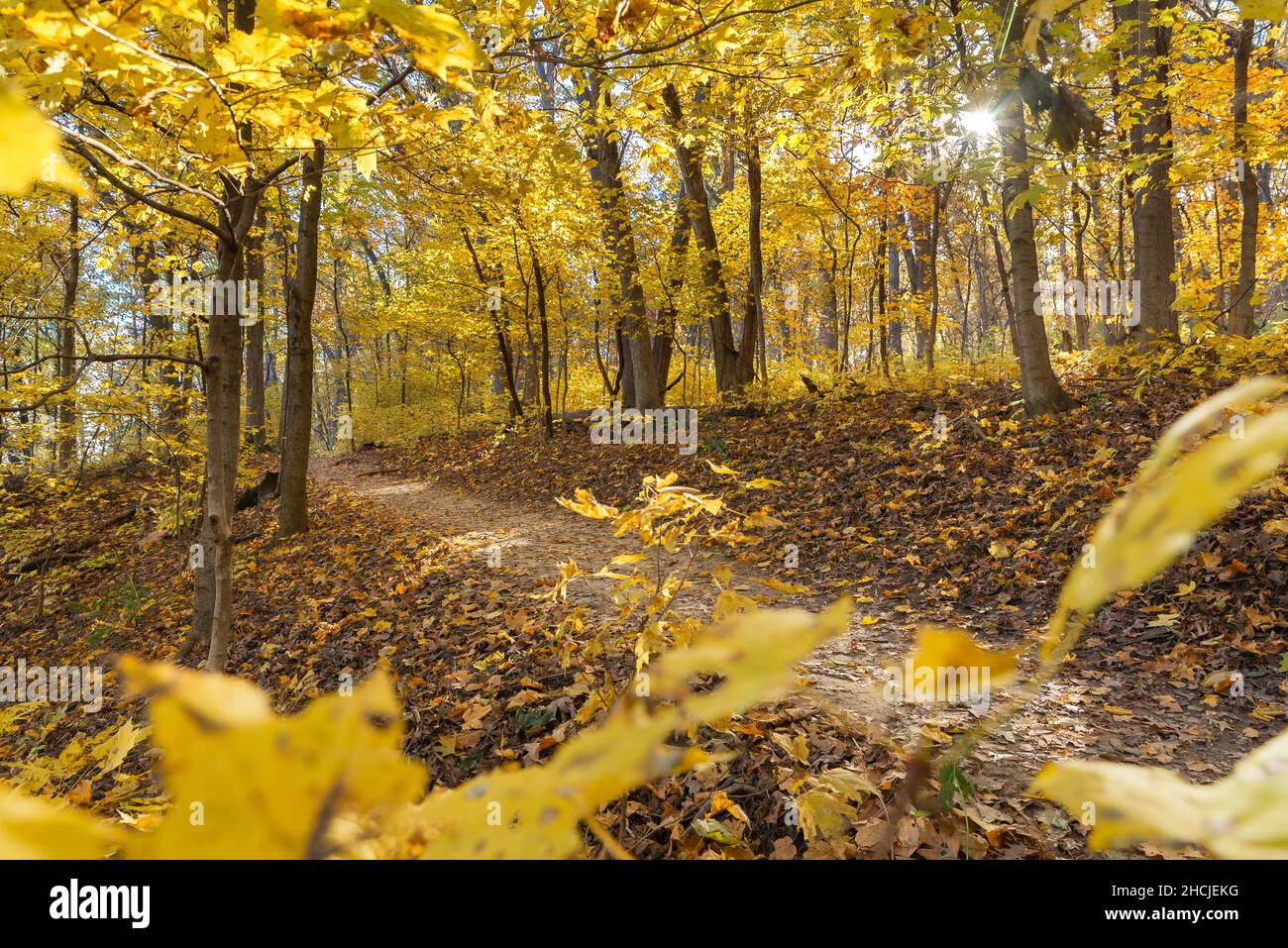 Dirt hiking trail through fall colored trees. Starved Rock State Park ...