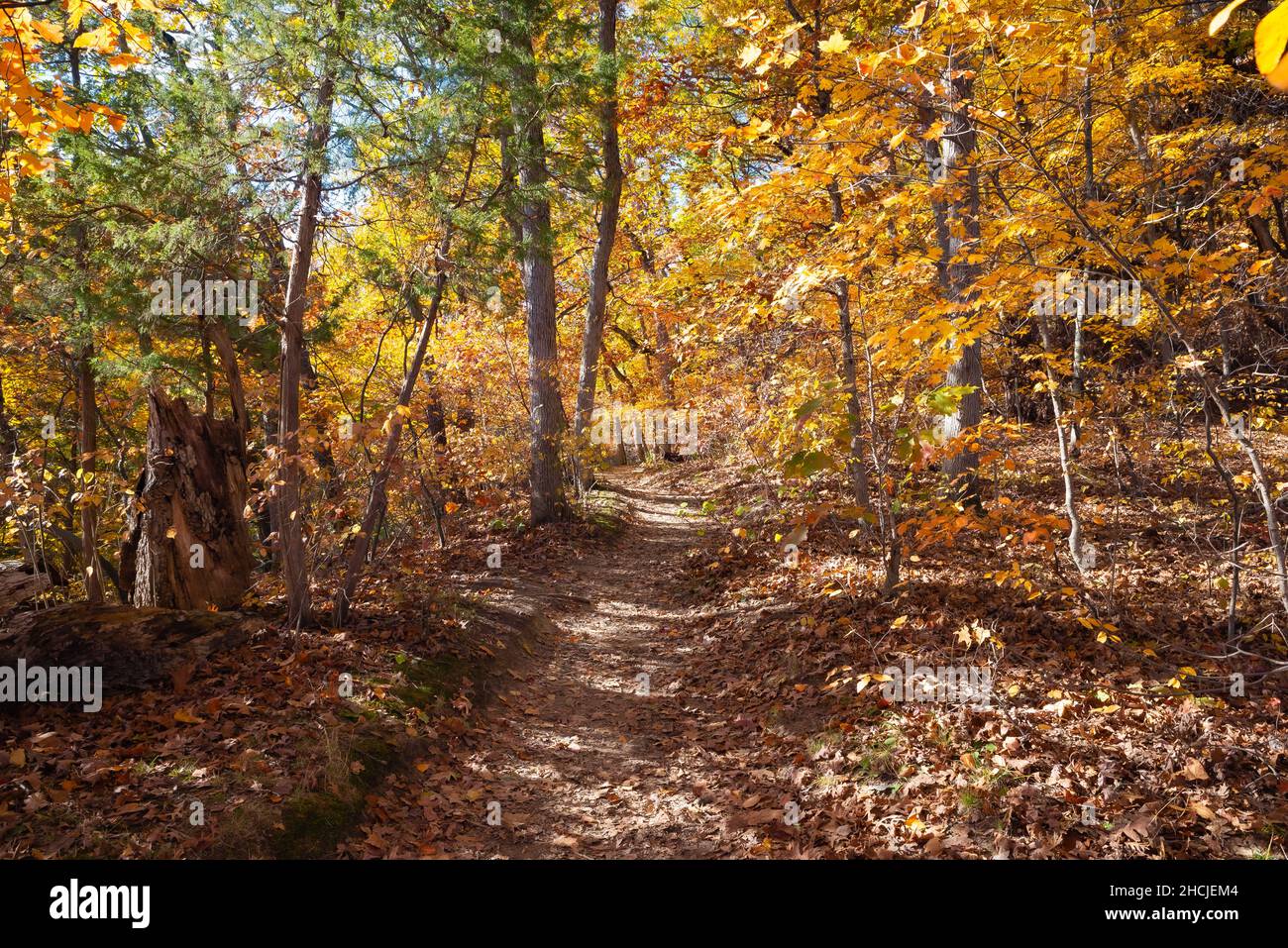 Dirt hiking trail through fall colored trees. Starved Rock State Park ...