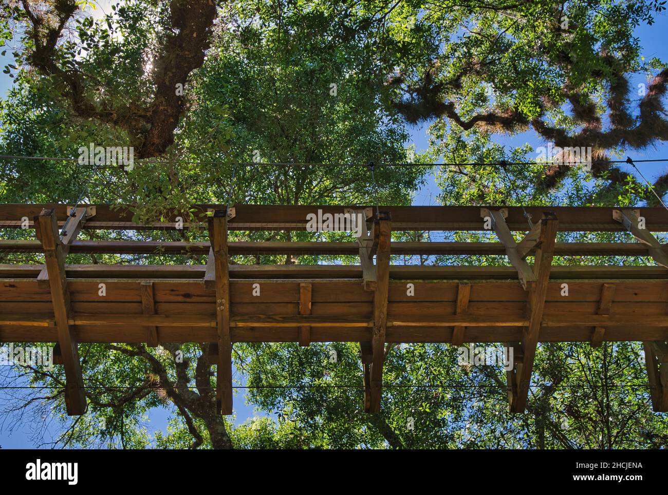 Canopy walkway at the Myakka River State Park, Florida, USA Stock Photo ...