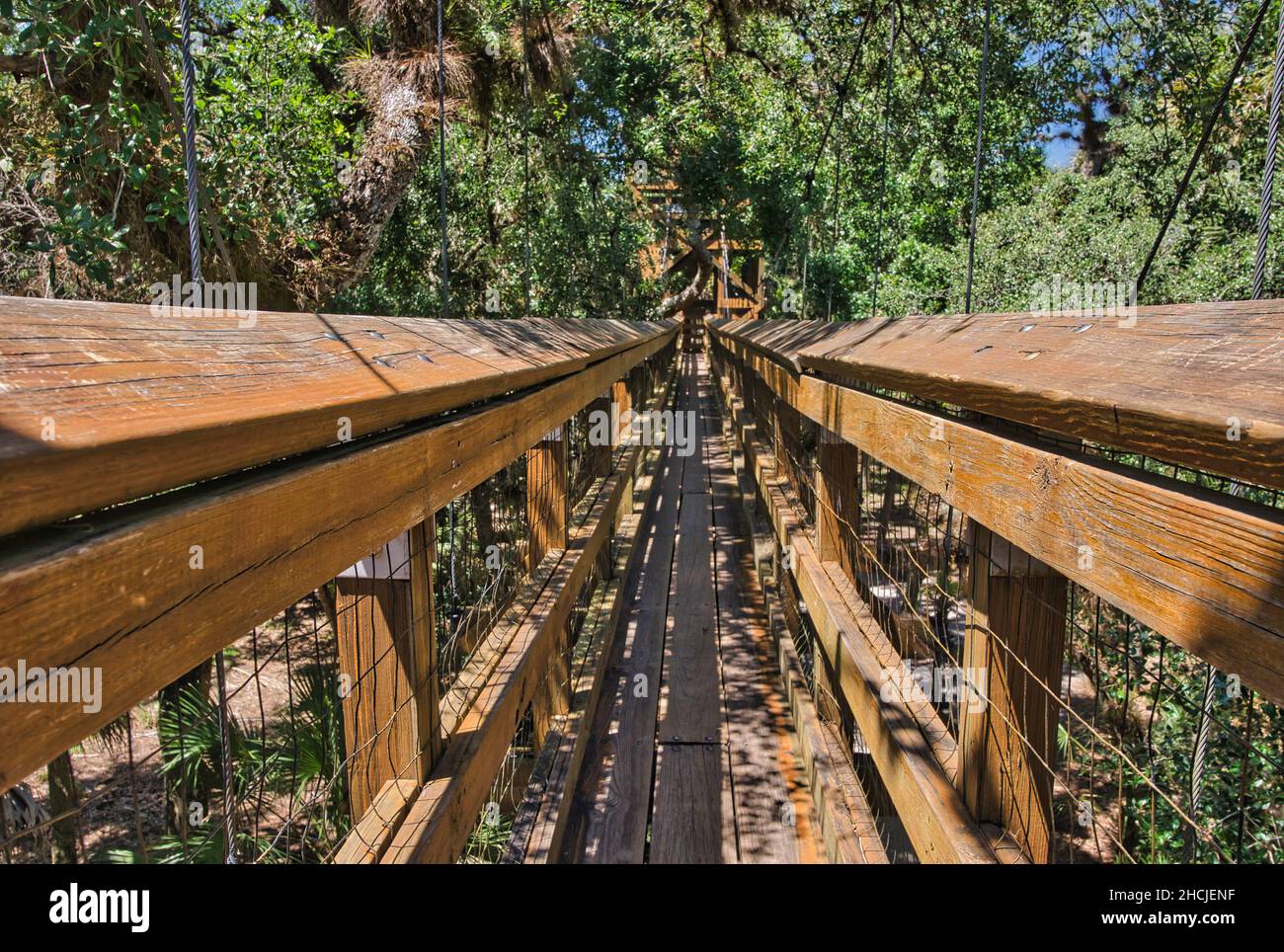 Canopy walkway at the Myakka River State Park, Florida, USA Stock Photo ...