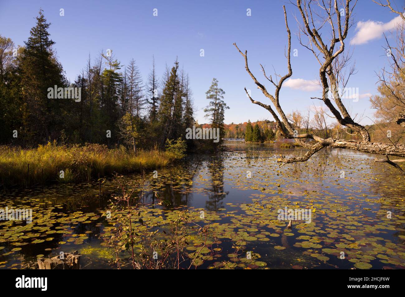Seneca river hi-res stock photography and images - Alamy