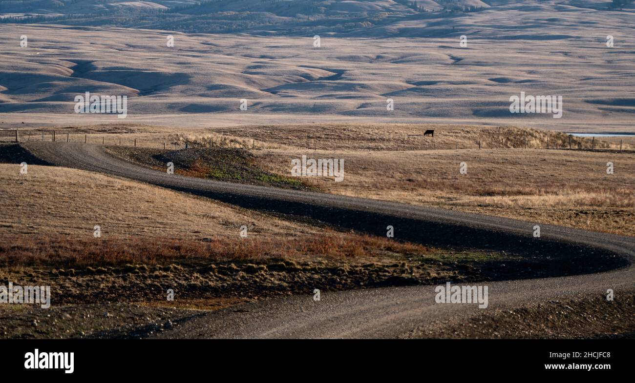 Scenic views of the Cypress Hills Saskatchewan Alberta Stock Photo - Alamy