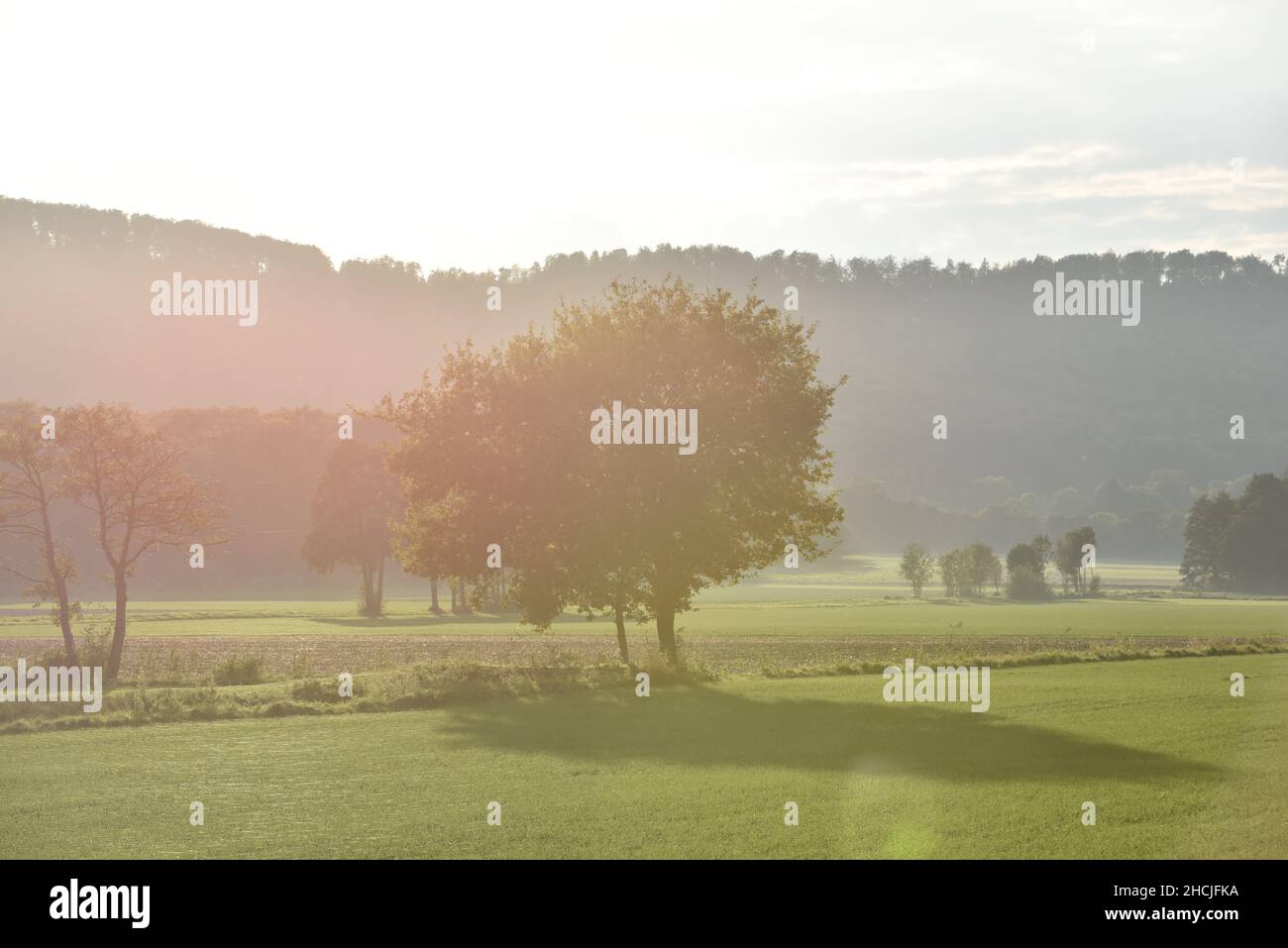 Autumn in Deister,germany Stock Photo - Alamy