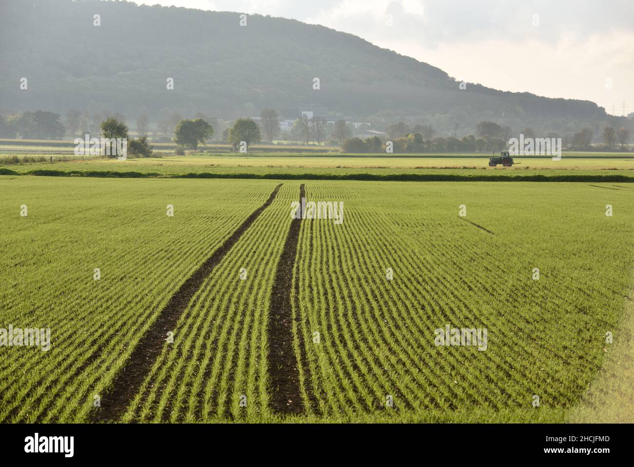 Autumn in Deister,germany Stock Photo - Alamy