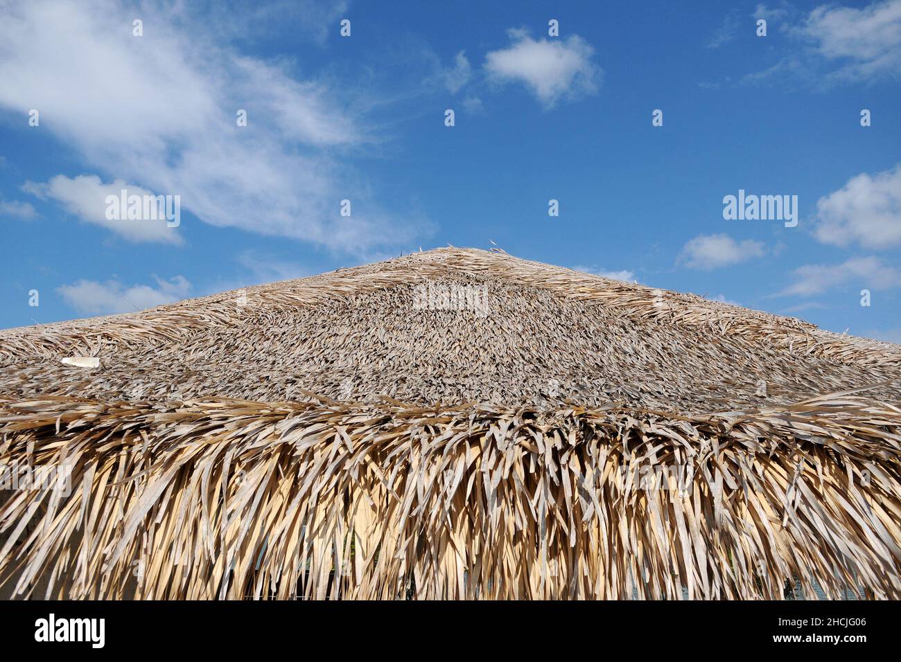 Detail of the thatched ceiling of the acai tree of the kiosks of the ...