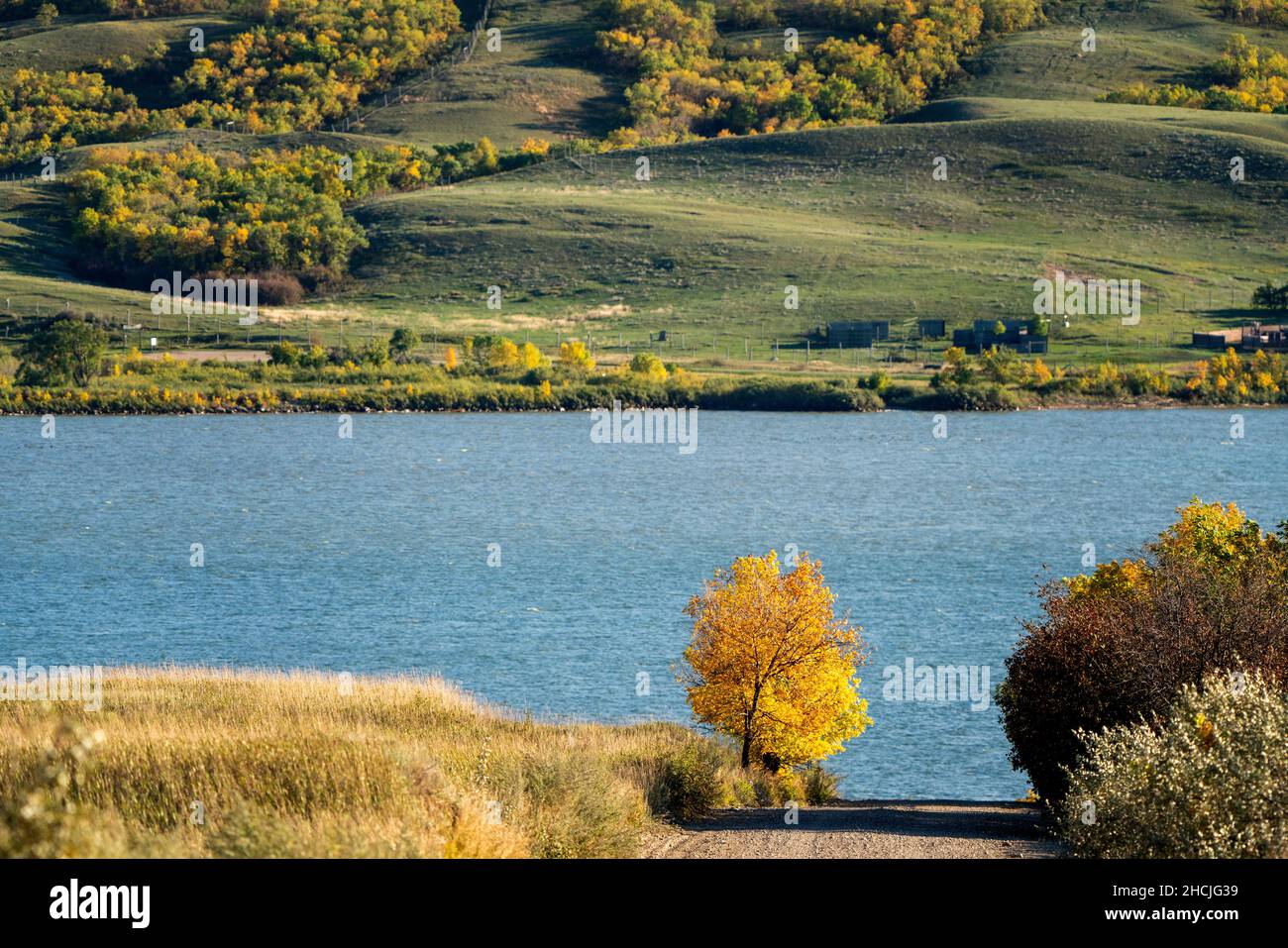 Prairie colors in fall yellow orange trees colorful Stock Photo - Alamy