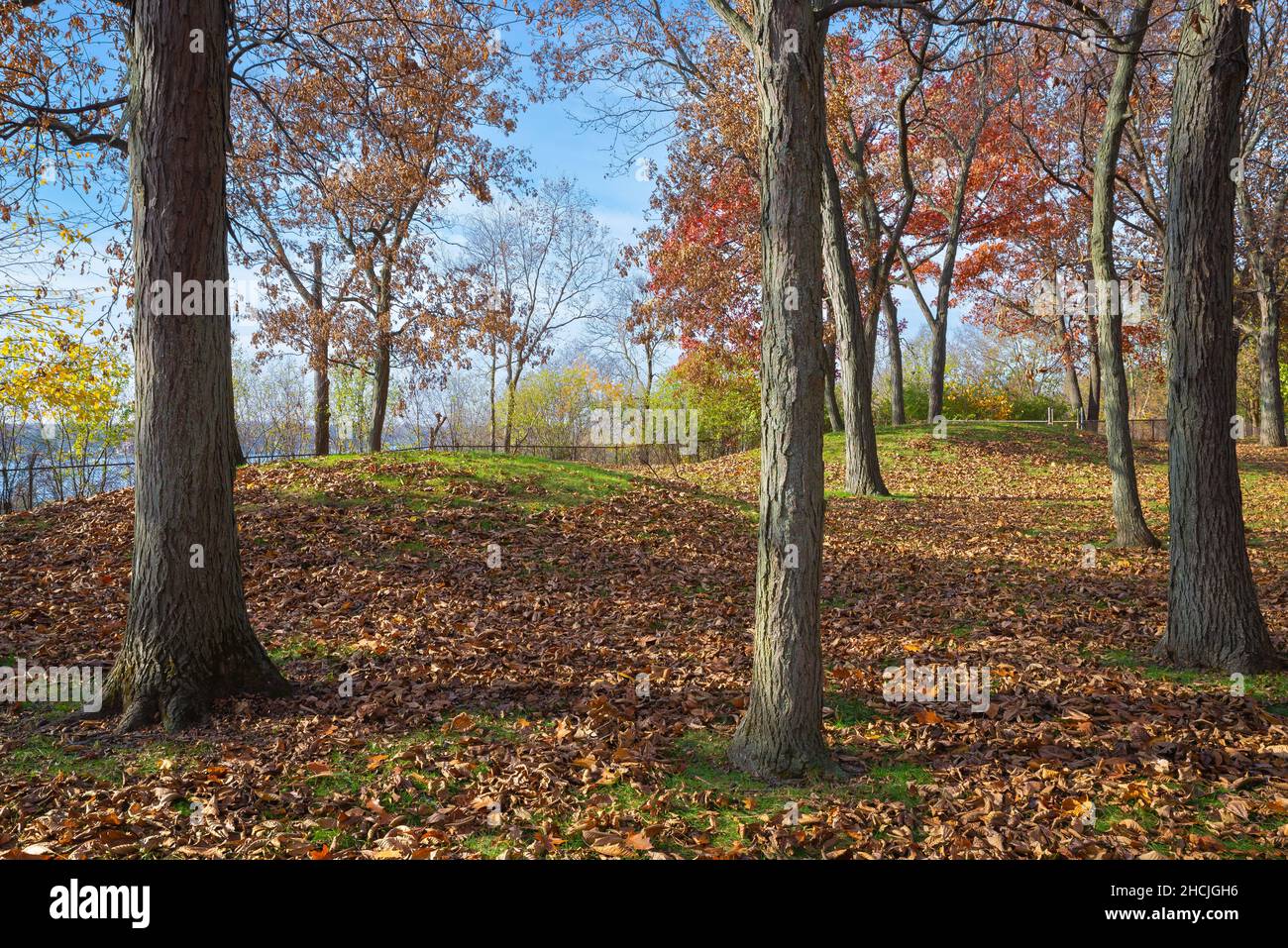 Native American burial mounds at Sinnissippi Mounds Historic Site on a ...