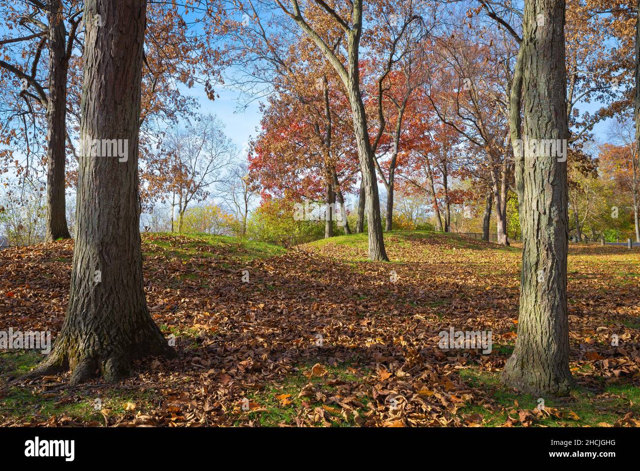 Native American burial mounds at Sinnissippi Mounds Historic Site on a ...