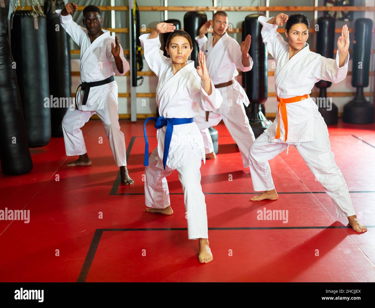 Multiracial group of people doing kata moves in gym Stock Photo - Alamy