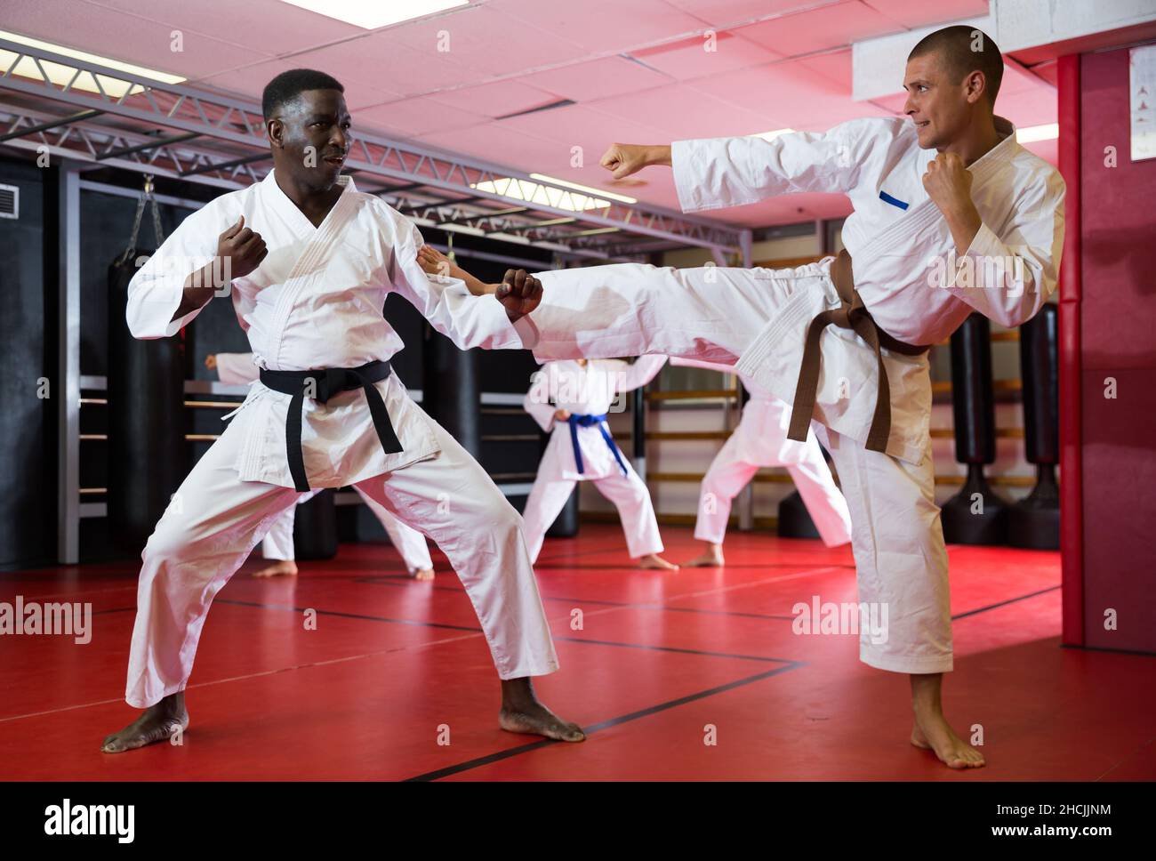 Two man working in pair, mastering new karate moves Stock Photo - Alamy