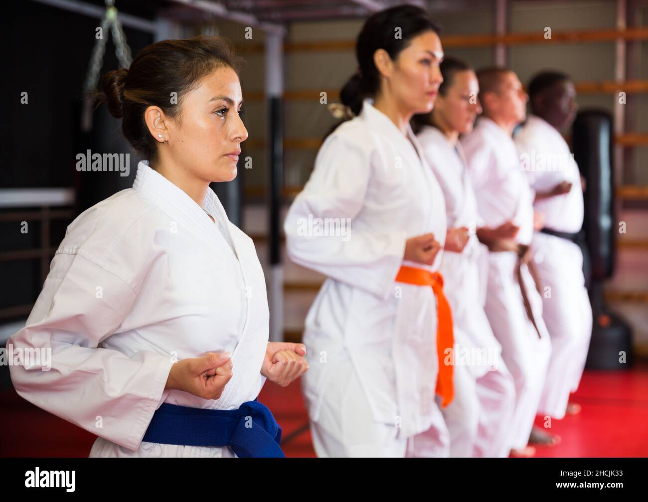 Karate or taekwondo training - athletes in kimono stand in fighting ...