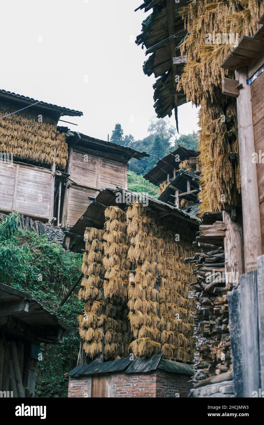 Rice cabin hi-res stock photography and images - Alamy