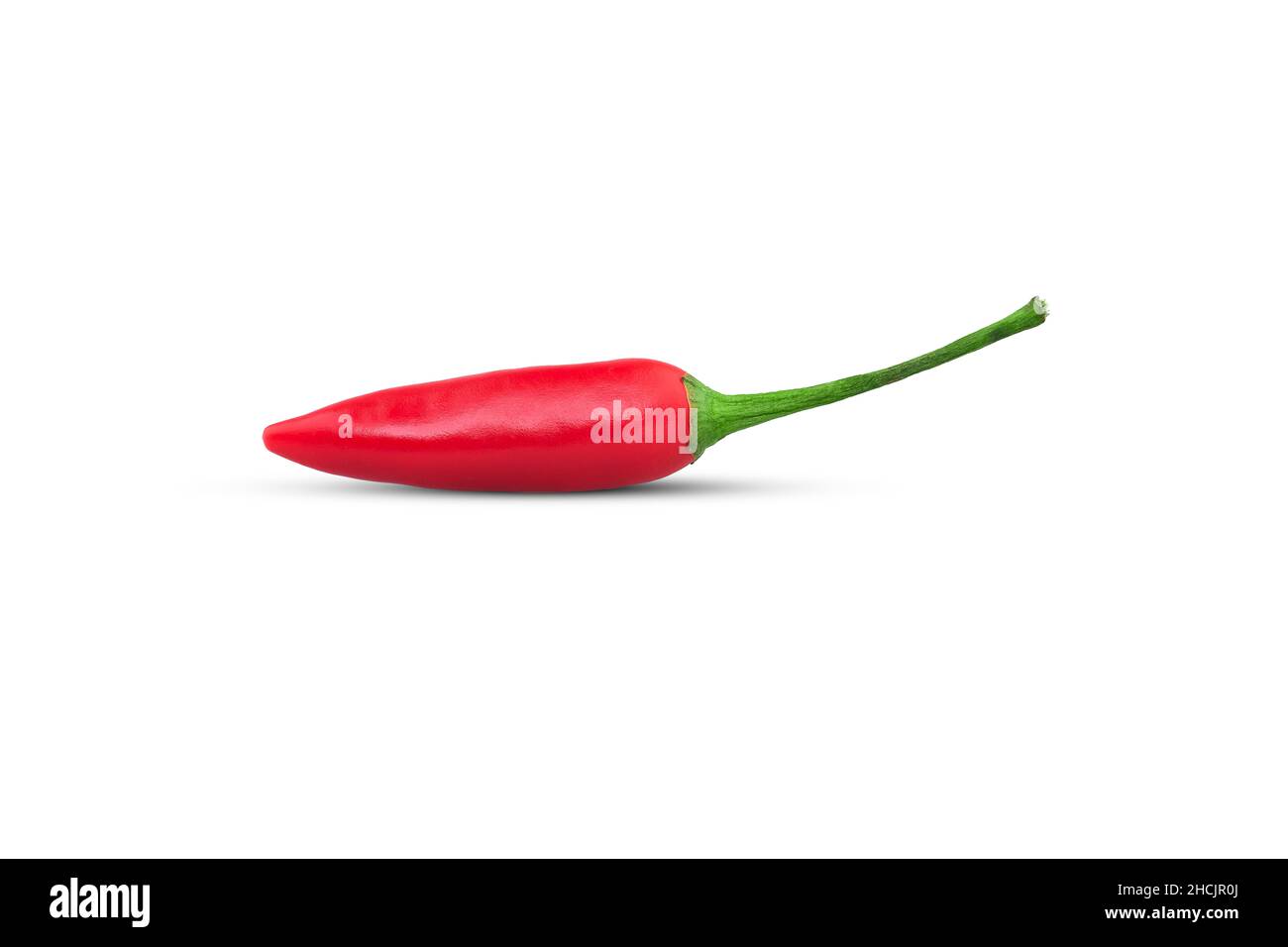 Chilli Red Single Vegetable on isolated white background with shadow ...