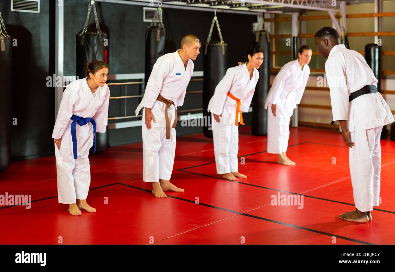 Group of athletes in kimono greet the karate trainer at gym Stock Photo ...