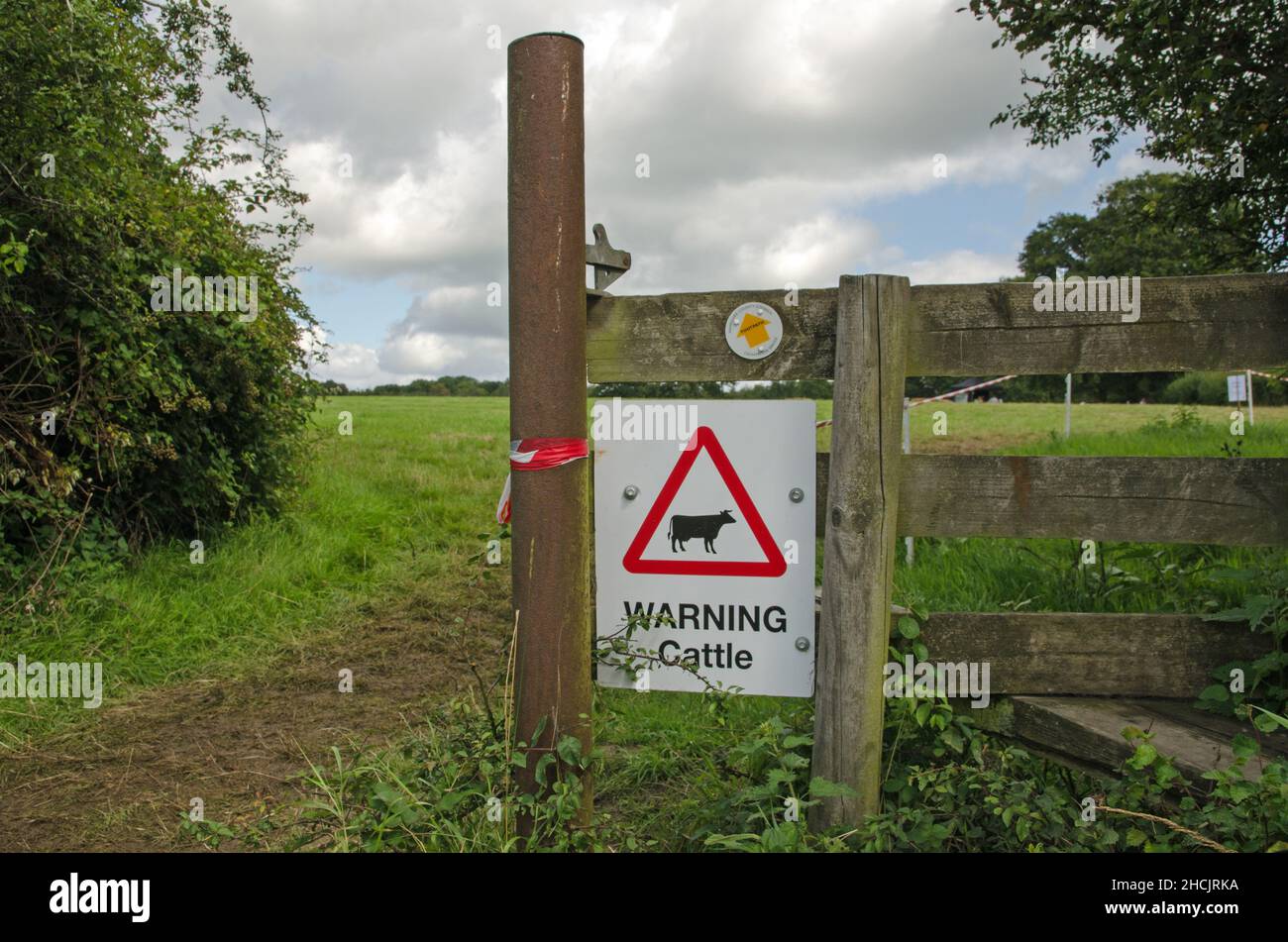 A sign warning walkers of cattle occupying a field in Hampshire. Cows ...